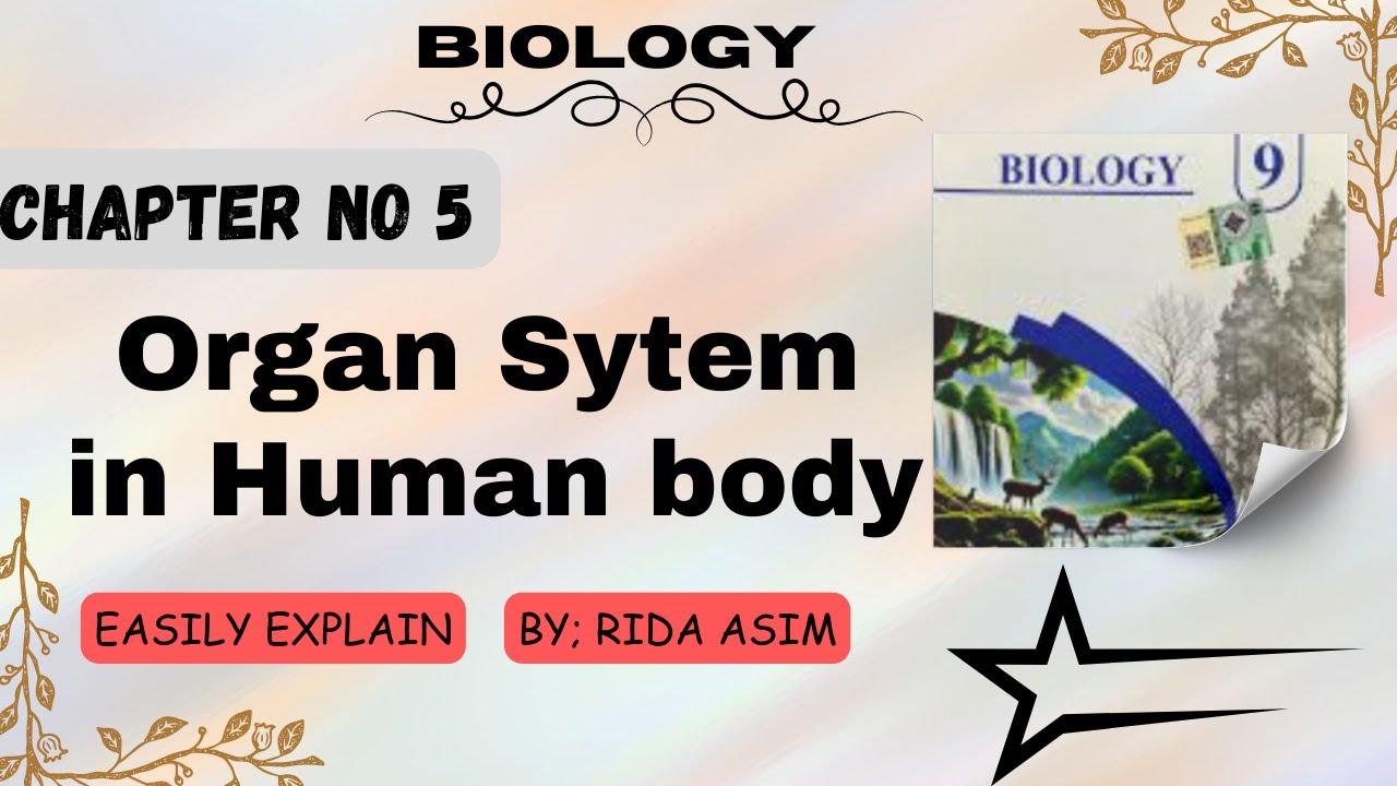 Biology | Organ system in human body| class 9 | easily explain - YouTube