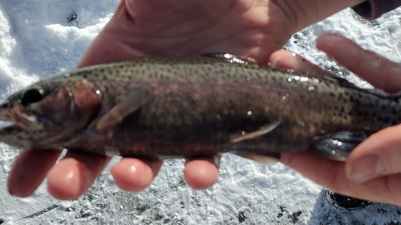 Holiday 10 pack "DREW CAUGHT A FISH" - YouTube