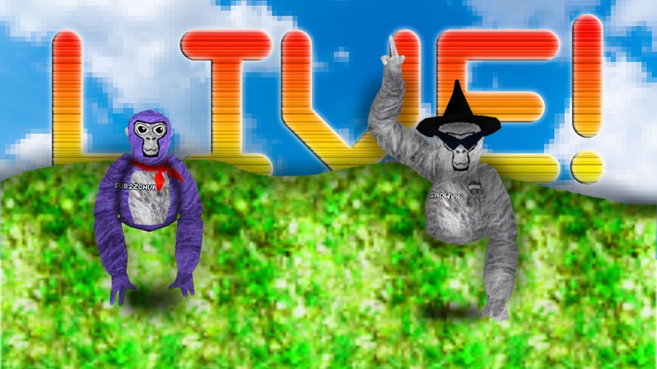 🔴GORILLA TAG WITH YOU! PRIVATE CODES, MODS & MORE! JOIN UP! FT. @ZchVr ...