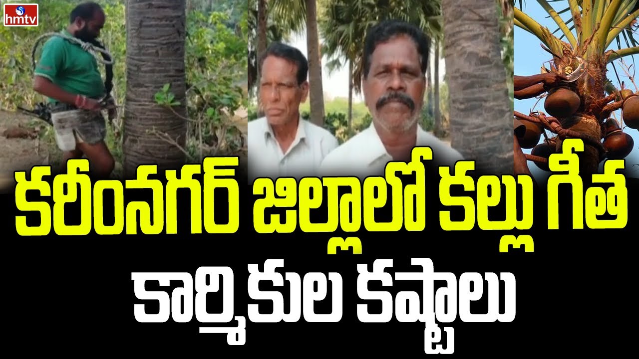 కరీంనగర్ జిల్లాలో కల్లు గీత కార్మికుల కష్టాలు | Karimnagar Kallu Geetha ...