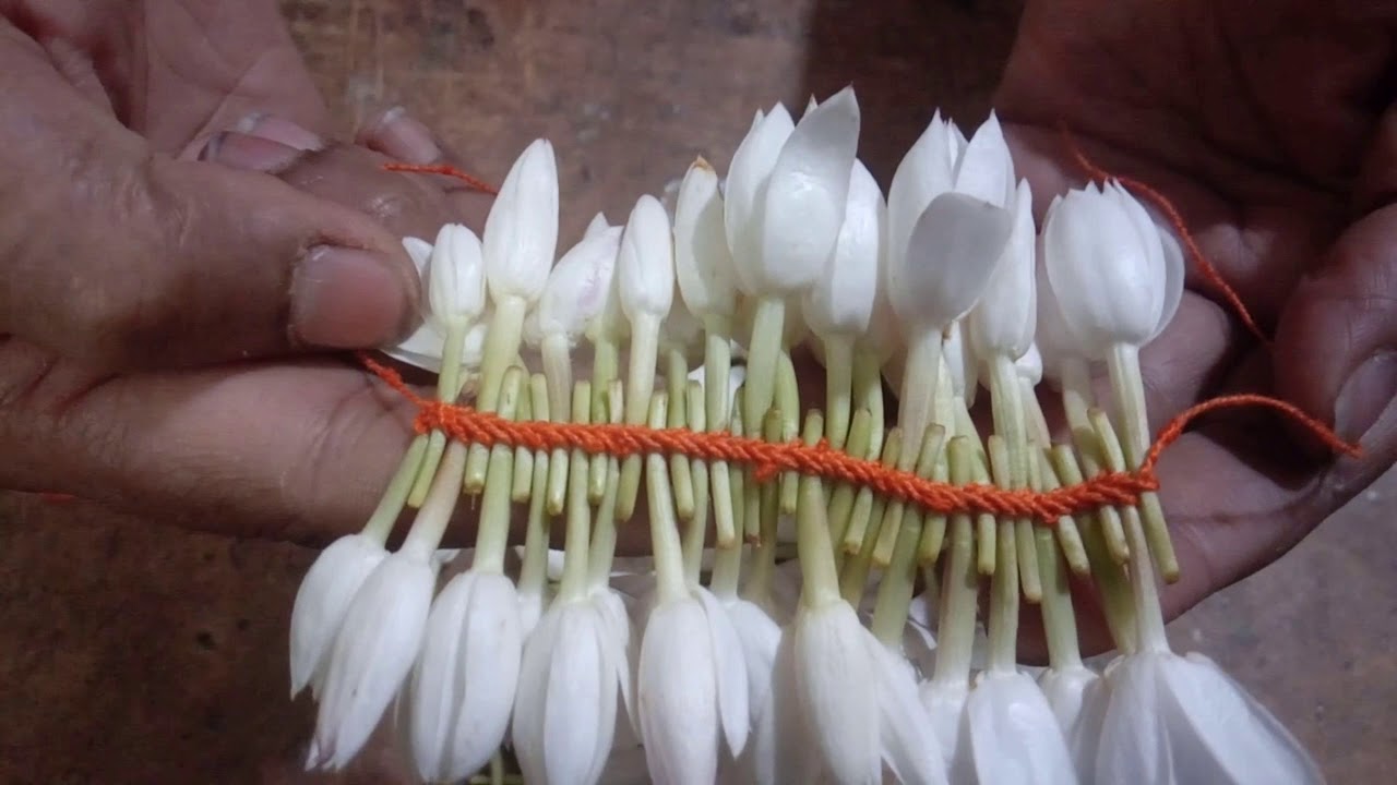 kagada malli poolatho design maala kattadam elago thelsukondi/learn how ...