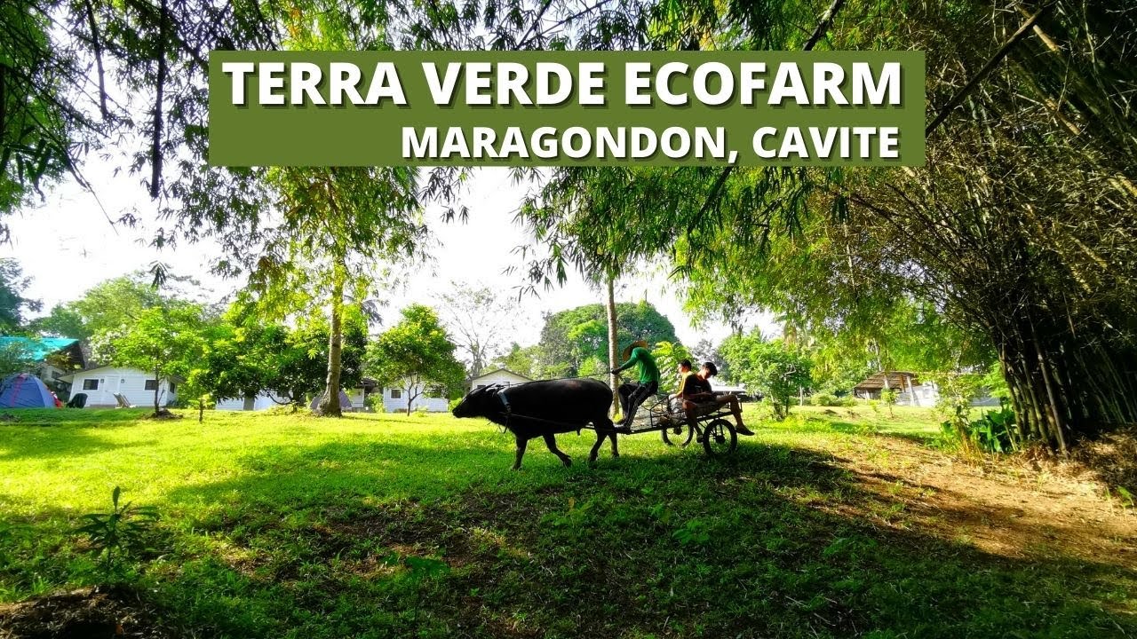 NATURE TRIP + FARM TOUR IN TERRA VERDE ECO FARM (MARAGONDON, CAVITE ...