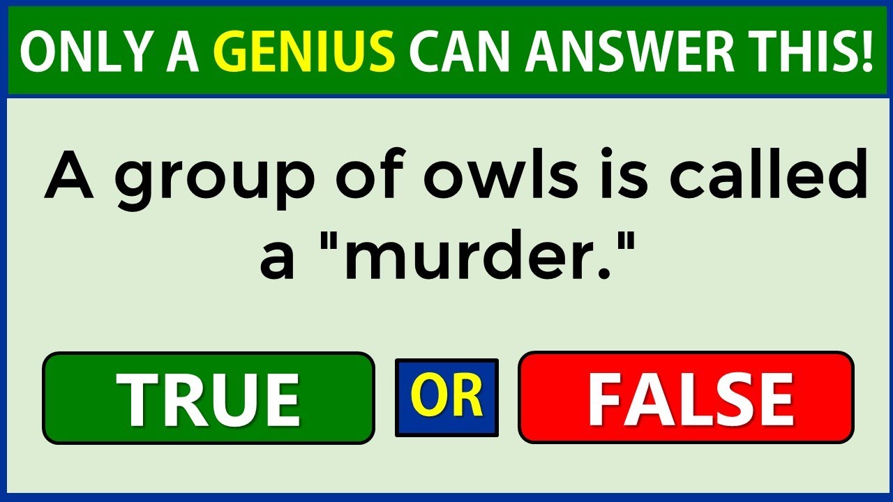 True or False Quiz | Only A Genius Can Score 100% #challenge 17 - YouTube