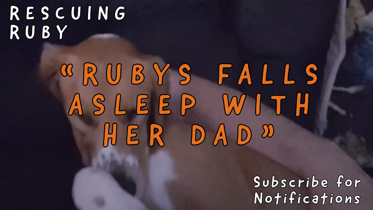 Ruby falls asleep with her dad | Sofia (supermama) from Takis Shelter ...