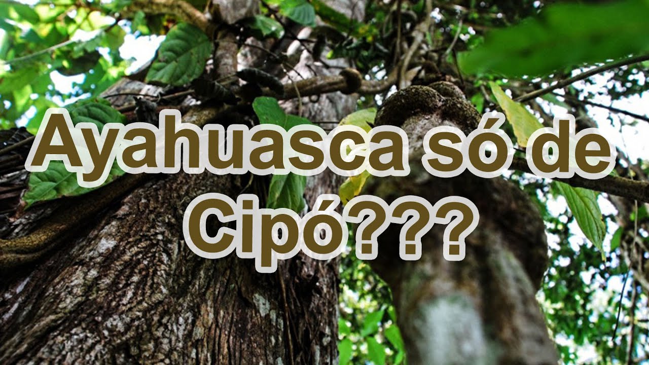 Ayahuasca feita só de Cipó? - YouTube