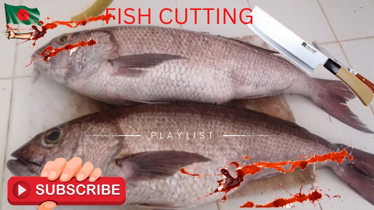 Andaka fish oman | fish cutting skills video and andaka fish - YouTube