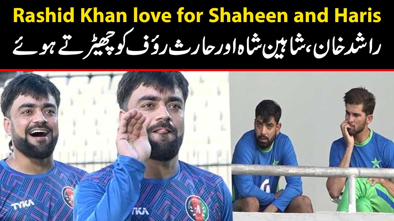 Rashid Khan Love You | Shaheen Shah Afridi aur Haris Rauf ko chairtay ...