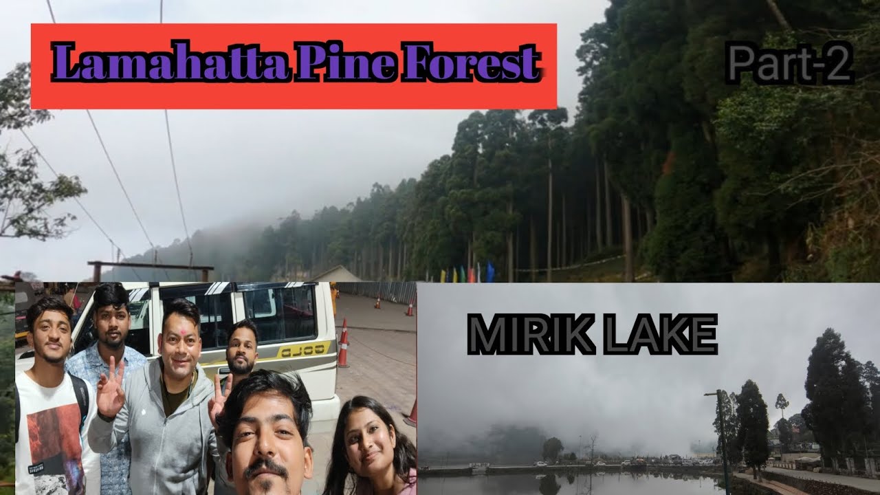 Lamahatta Part-2 Full View/ Pine Forest/Eco park Mirik Lake Thanks For ...