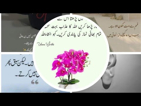 Deep line qutes/Islamic quotes/amazing poetry/secret Islamic - YouTube