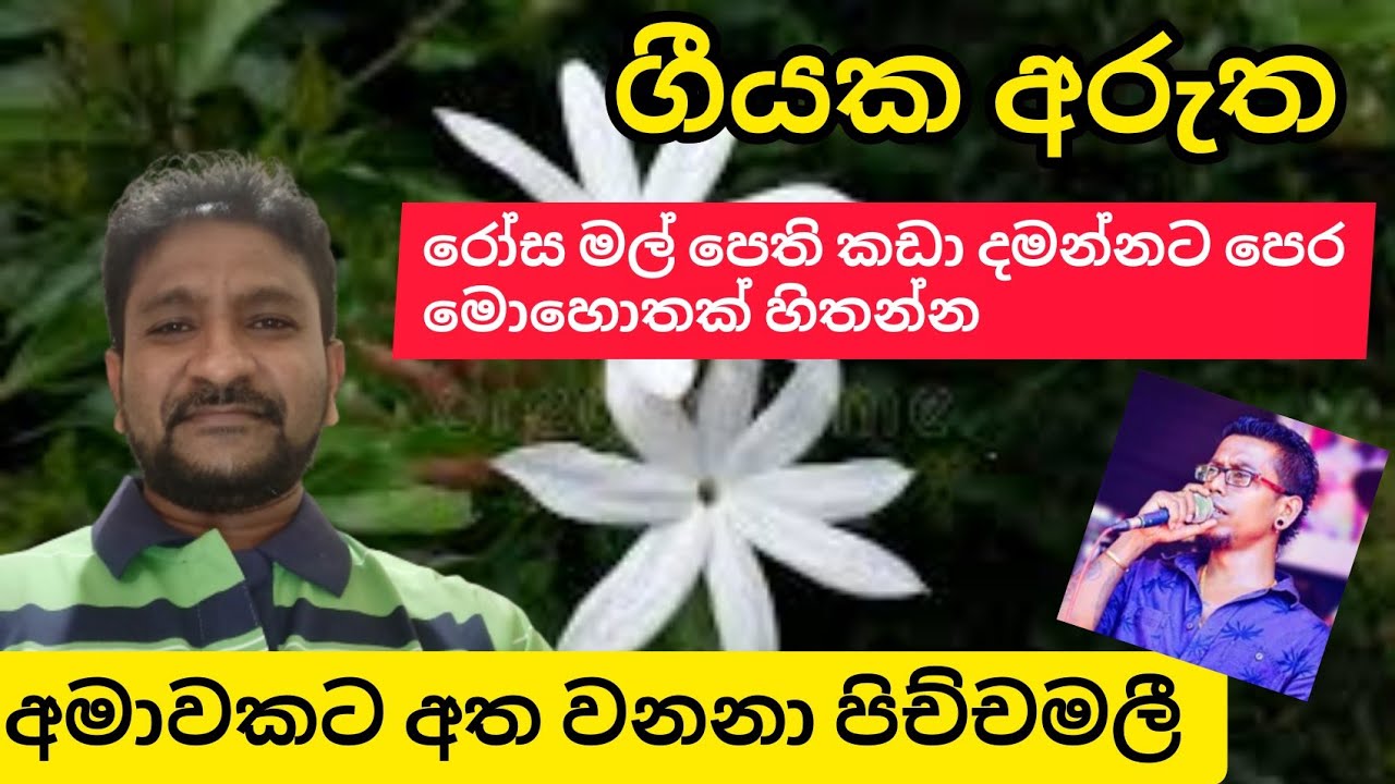 ගීයක අරුත | Song Interpretation | අමාවකට අත වනනා | The meaning of a ...