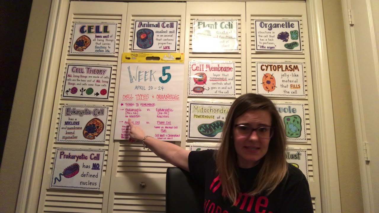 Week 5 Intro Video!! - YouTube