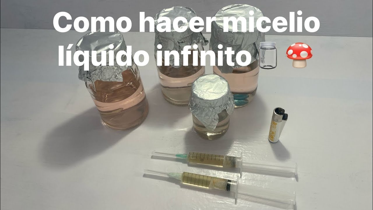 Micelio liquido infinito 😧🤯 La mejor técnica para cultivar hongos - YouTube