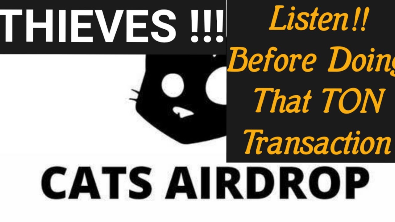 CATs Airdrop Criteria And important things you need to know. - YouTube