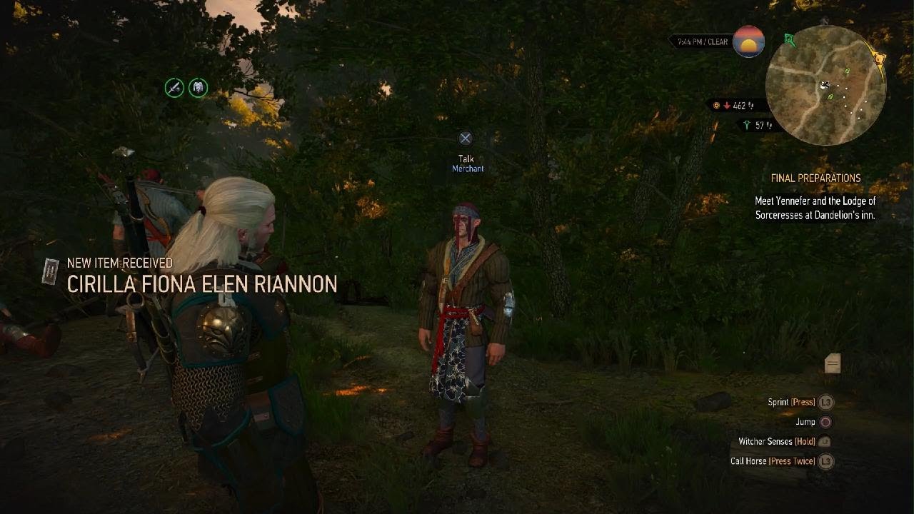 The Witcher 3: Wild Hunt Ciri Gwent Card Location - YouTube