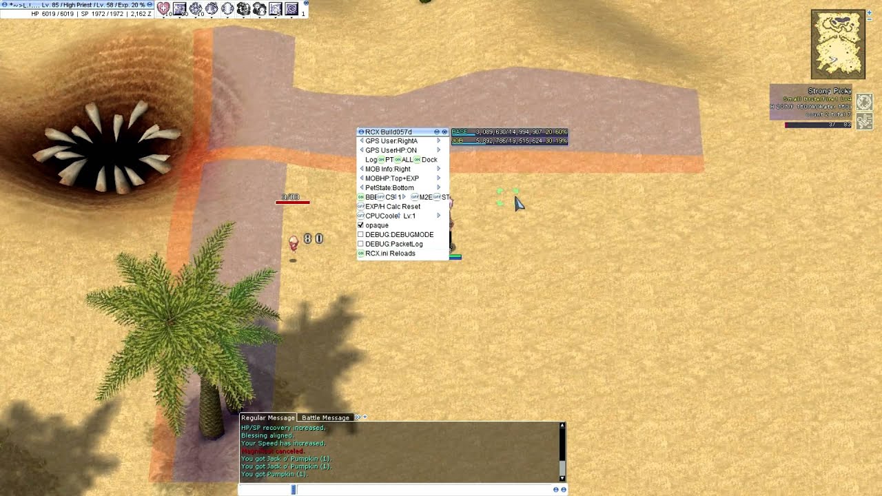 RCX (RoCharX) Tutorial Ragnarok Online - YouTube