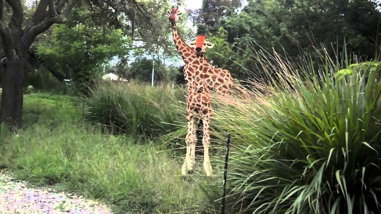 Insanely Deadly Safari - YouTube
