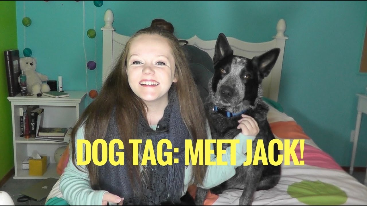 DOG TAG: MEET MY DOG JACK - YouTube