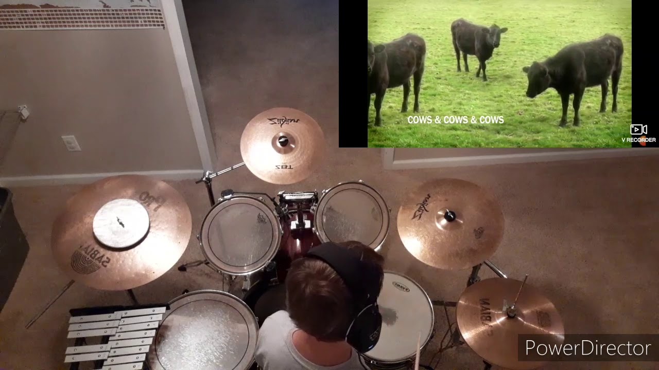 Cows & Cows & Cows (Drum Cover) - YouTube