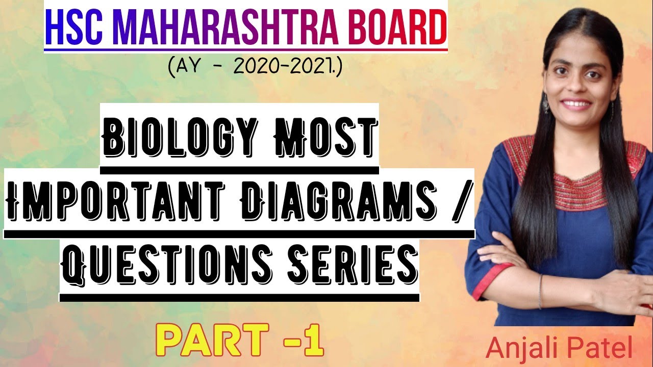Class XII Biology - Important Diagrams/ Questions. - YouTube