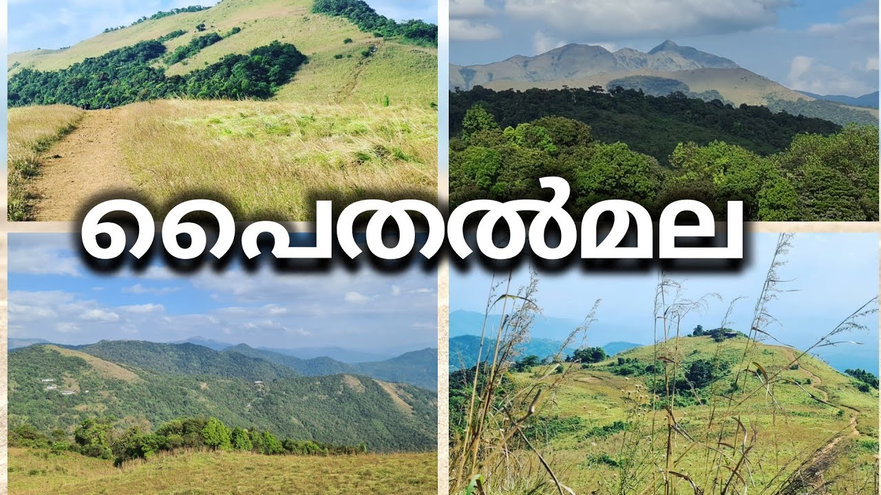 Paithalmala View Point and Trekking || പൈതൽമല കാഴ്ചകളുടെ പറുദീസ - YouTube