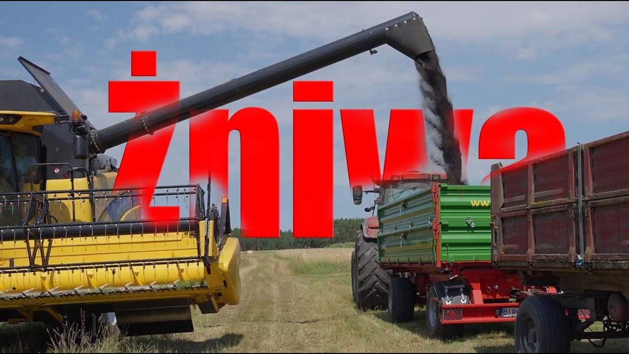 Michał Kubala Pierwszy raz kosi rzepak Rolnicy z Podlasia New Holland ...