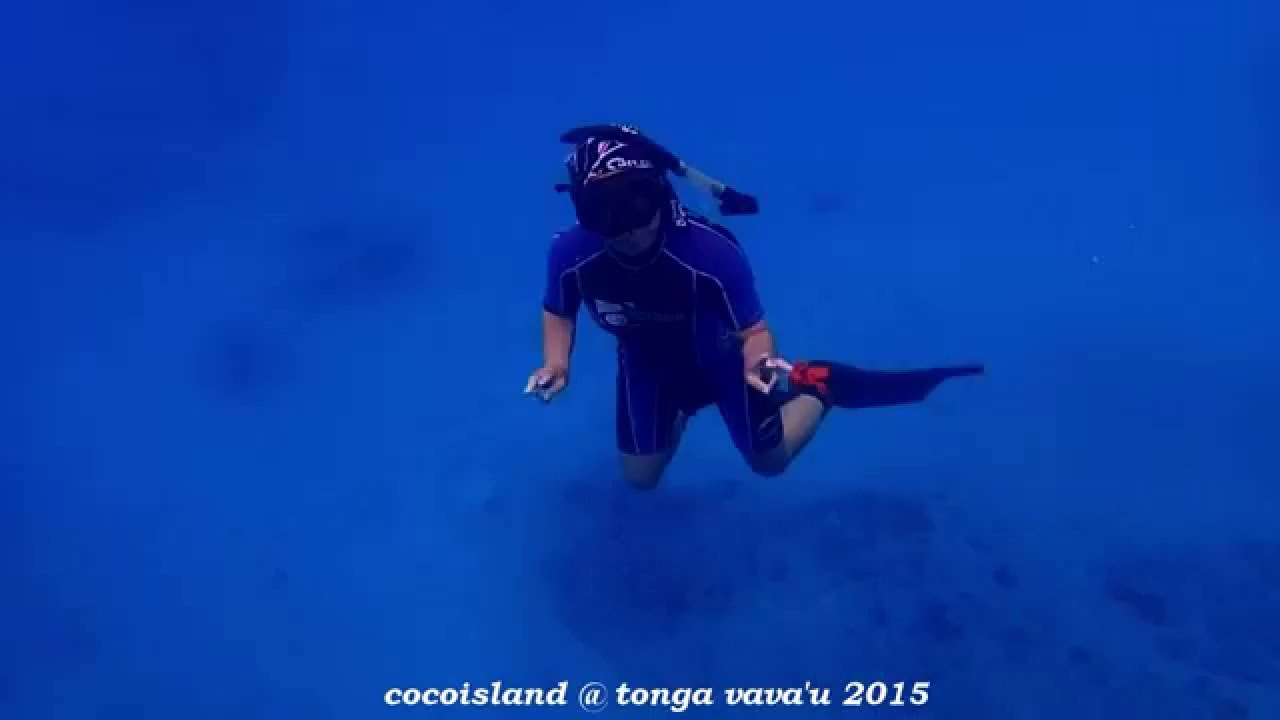 Swimming with humpback whales@Vava'u, Kingdom Of Tonga - YouTube