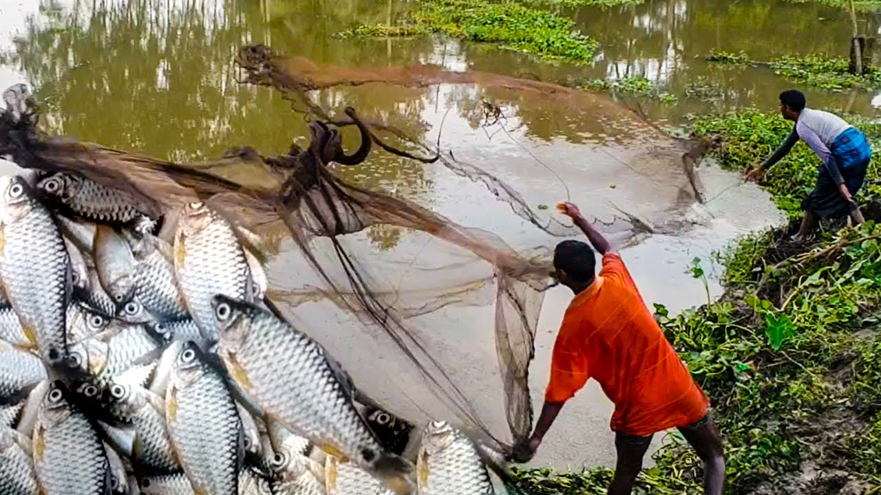 Awesome Village Net Fishing | Boys Fish Catching By Net With Water ...