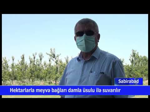 27 07 2020 Sabirabad damla usulu