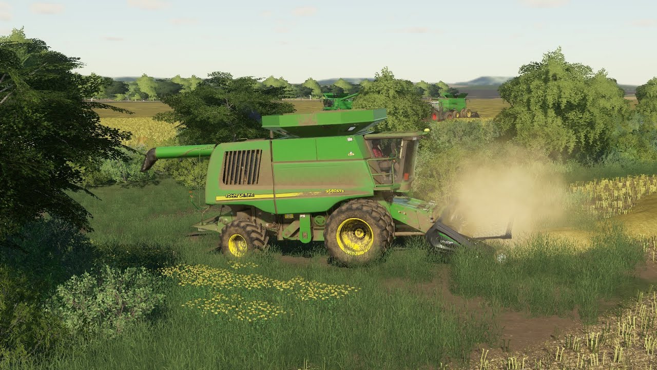 Canola Harvest with the Serious Network Public Multiplayer Group: FS19 ...