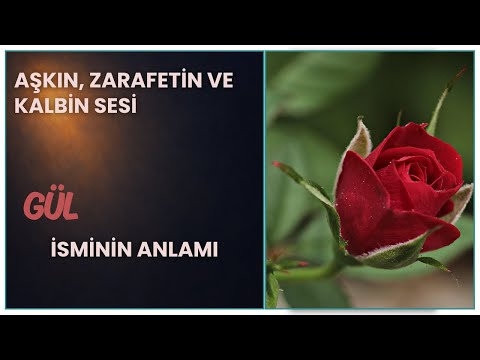 Gül isminin Anlamı 🌹 | Aşkın, Zarafetin ve Kalbin Sesi