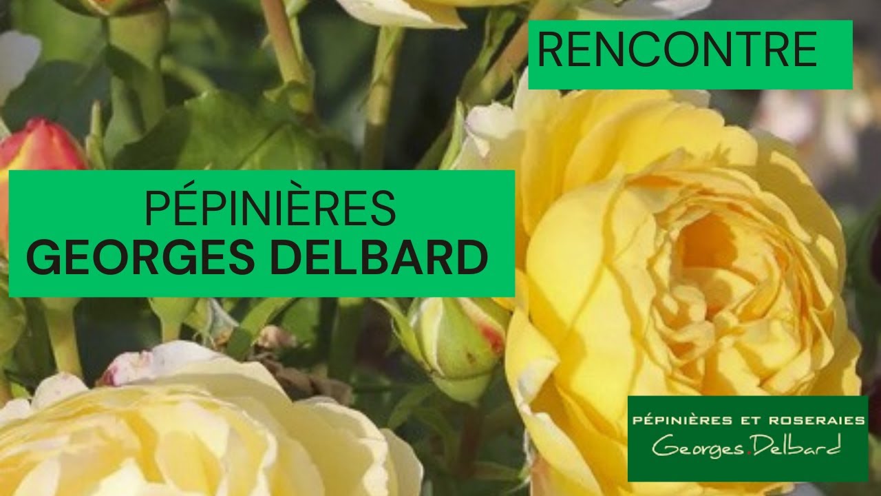 DECOUVERTE DES PÉPINIÈRES GEORGES DELBARD - YouTube