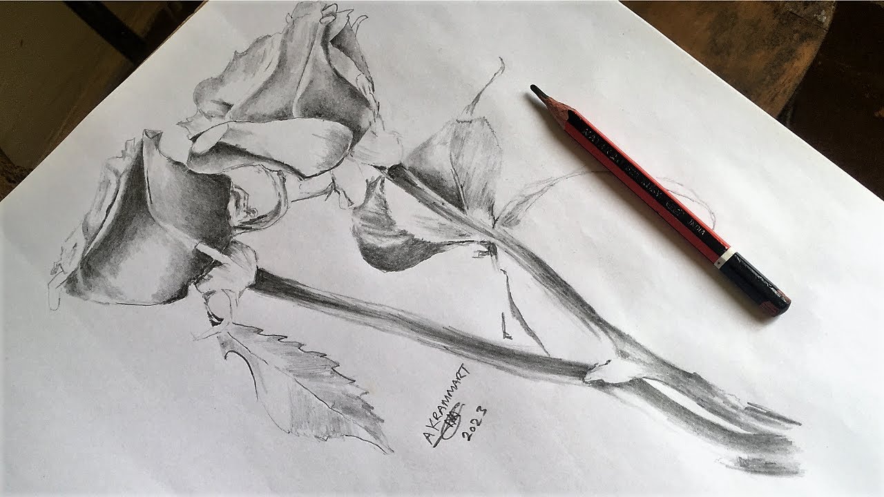 Drawing A Rose With Graphite Pencil - YouTube