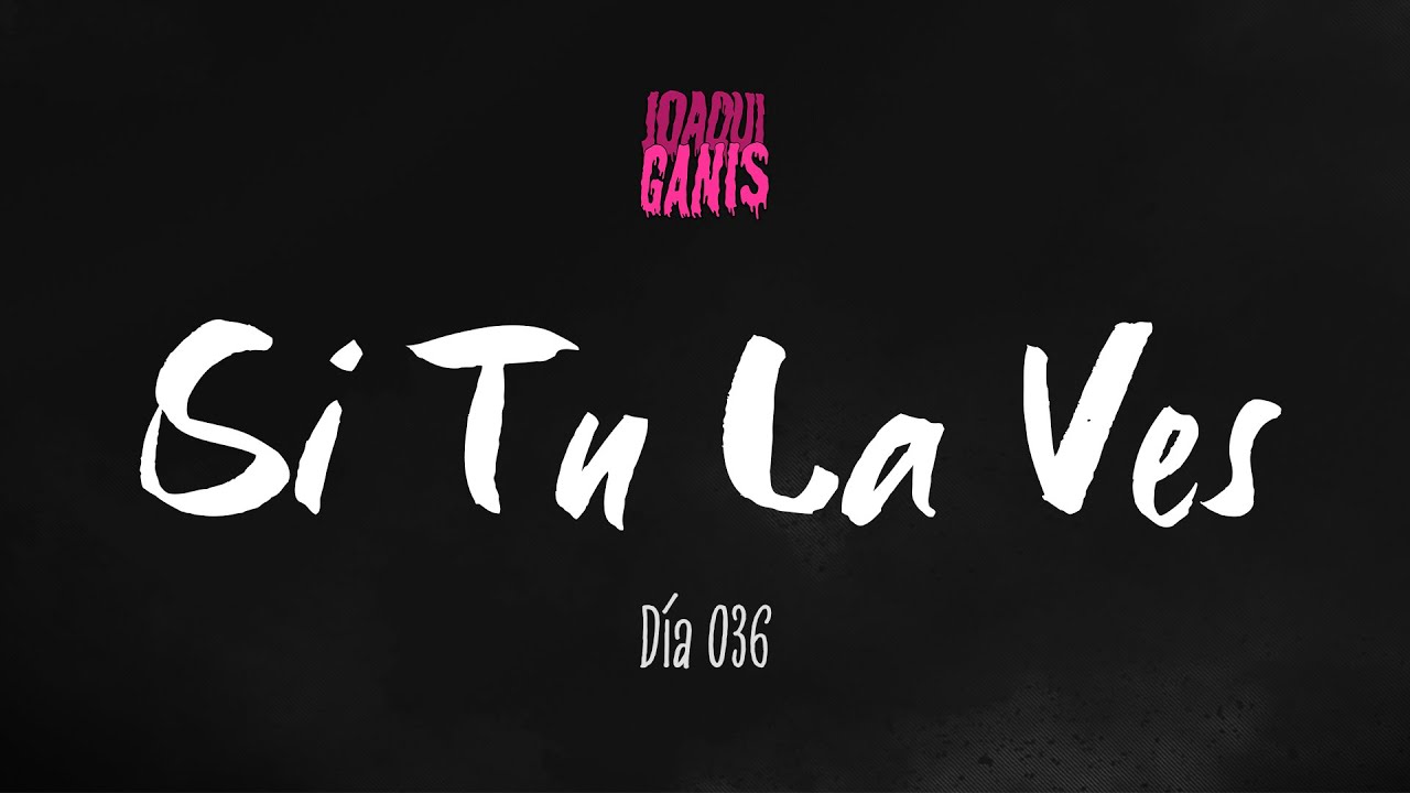 Nicky Jam, Wisin - Si Tu La Ves (Joaqui Ganis Remix) - Día 036 - YouTube