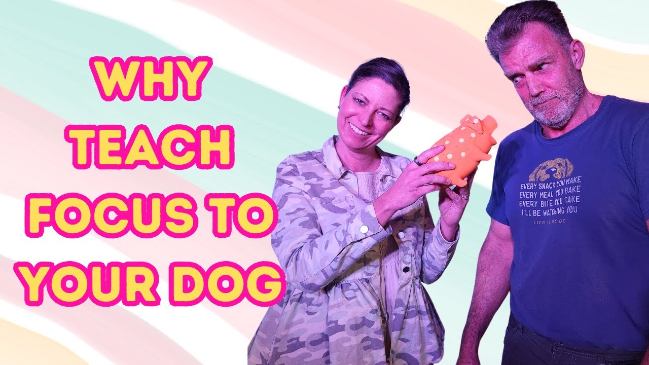 What's The Point of Teaching Focus? - YouTube