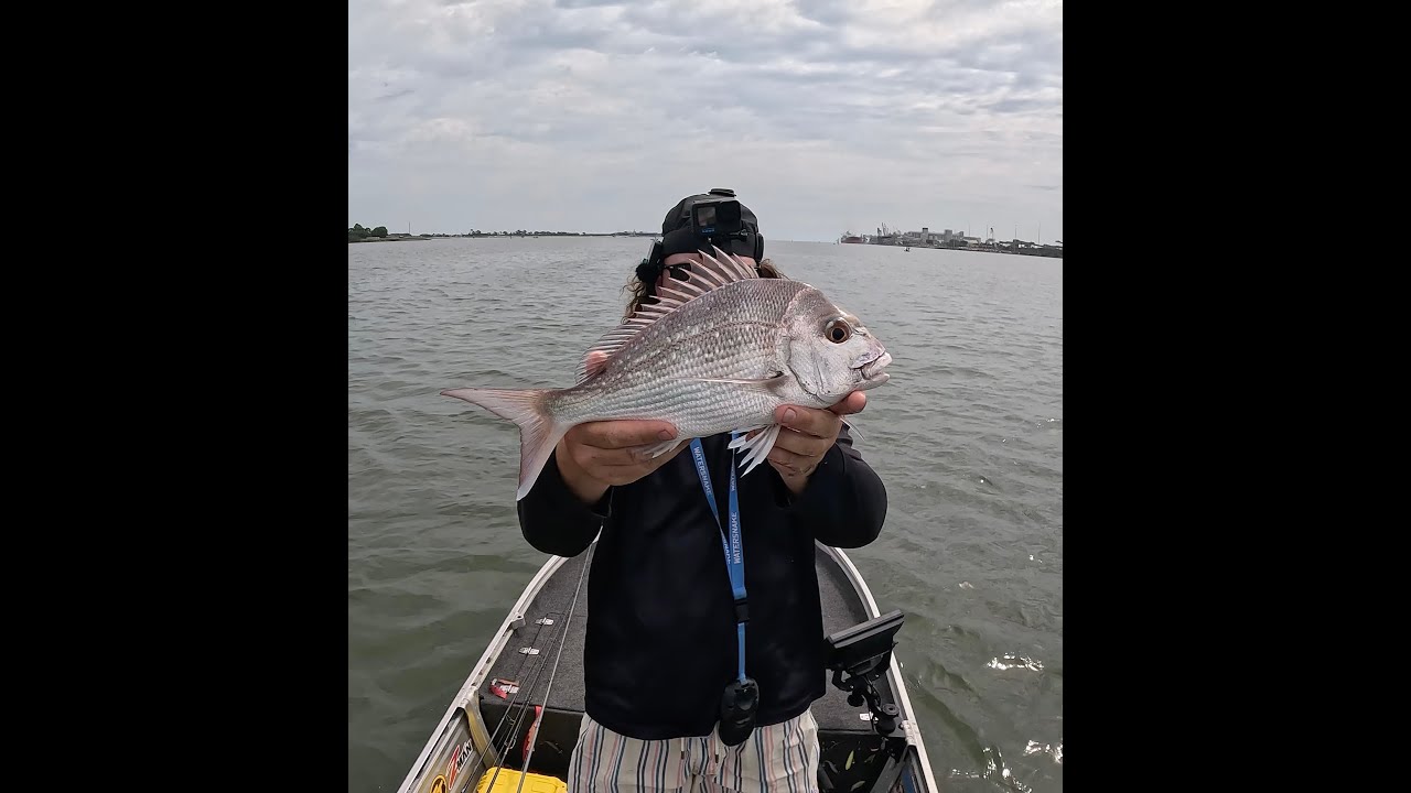 port of Brisbane snapper fishing!!! (one lure saved the day) - YouTube