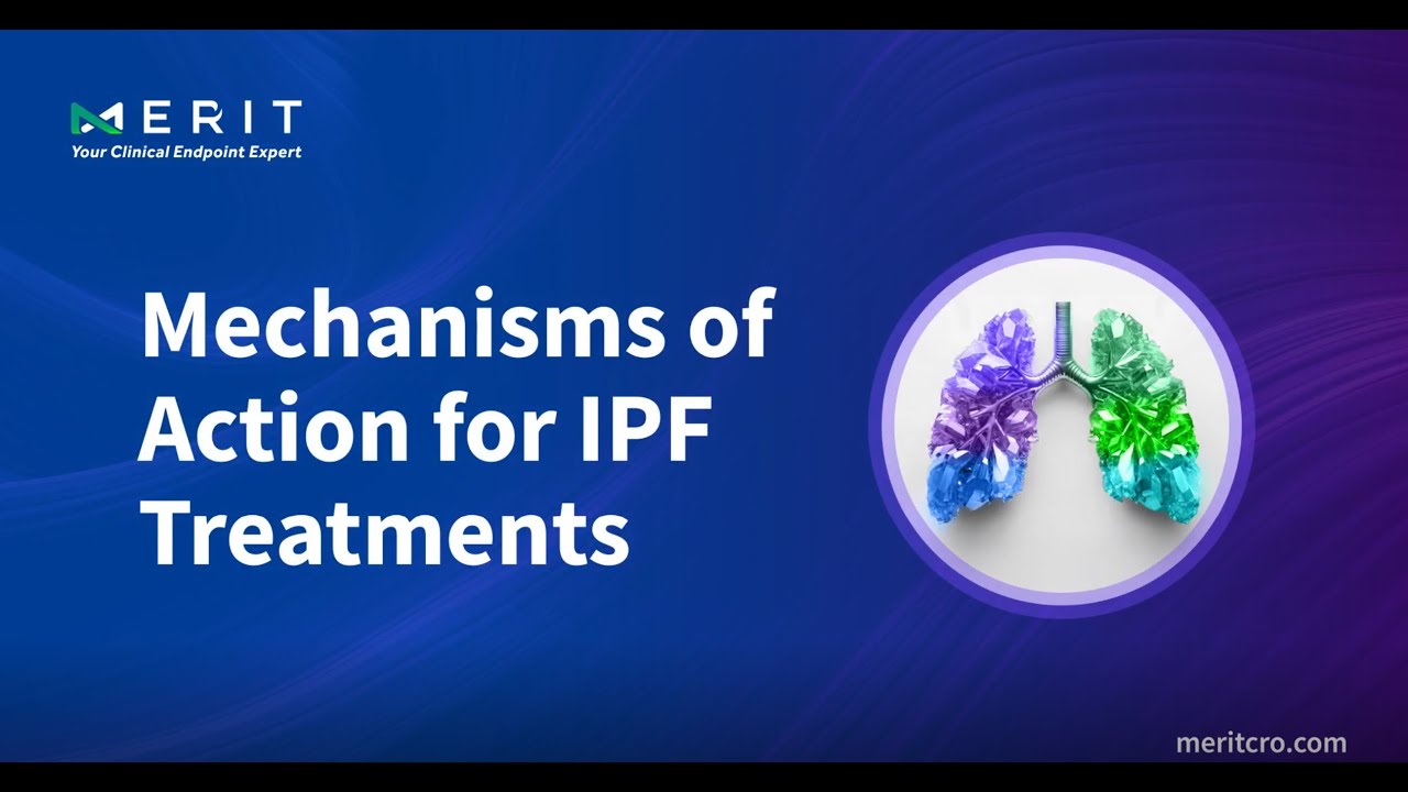 Mechanisms of Action for IPF Treatments - YouTube