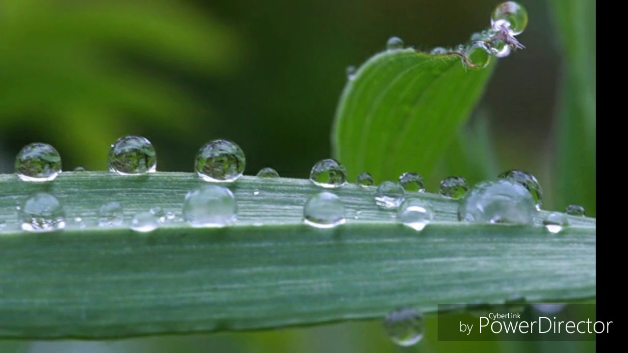 Water Spell- 100% real/Vodní kouzlo- 100% reálné - YouTube