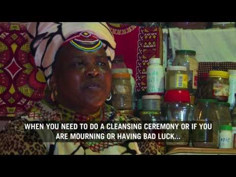 Daily SunTV | The Power Of Black Chicken!