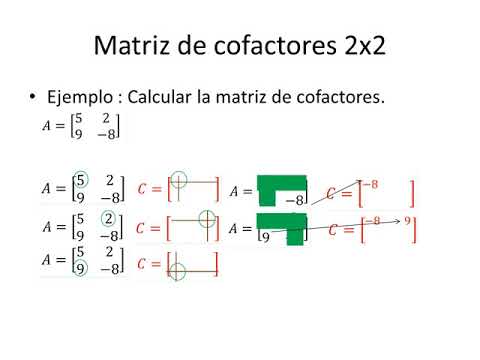 algebra III matriz de cofactores 2x2 clase 1 SONIDO - YouTube