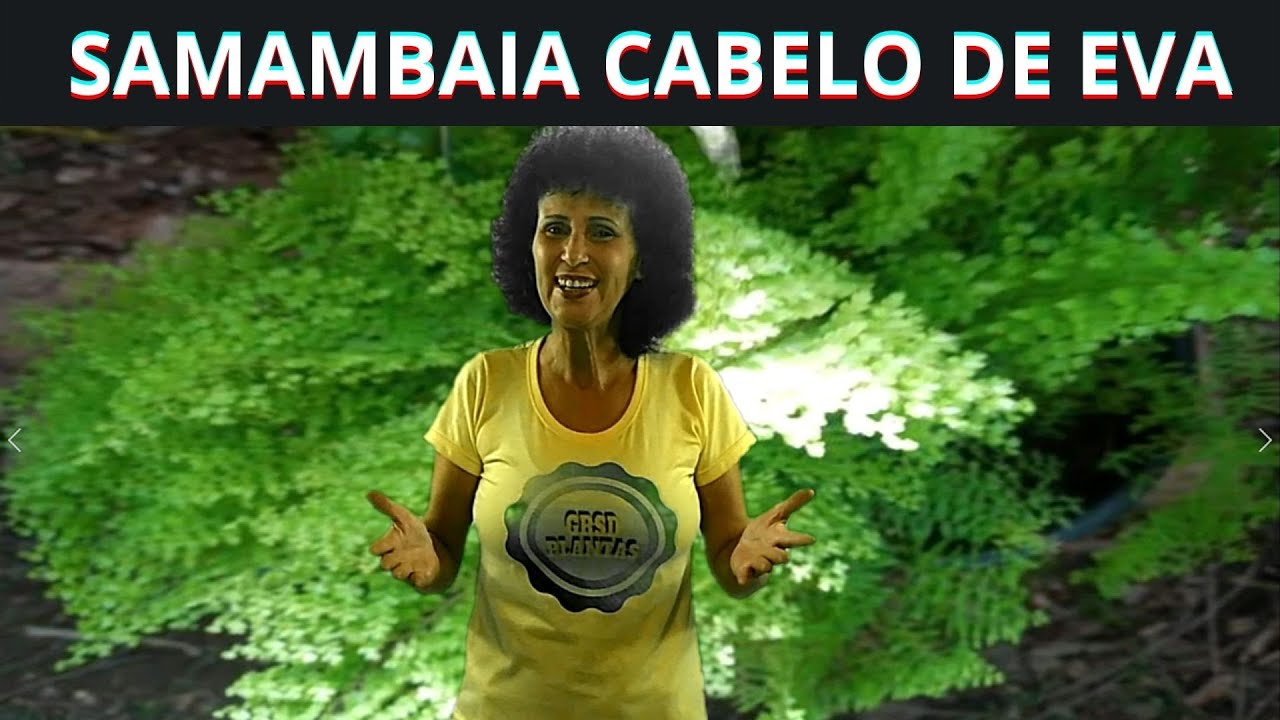 SAMAMBAIA CABELO DE EVA #SamambaiaCabeloDeEva - YouTube