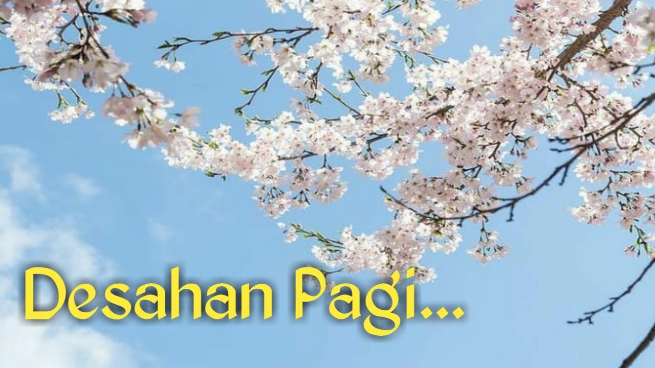 SUARA DESAHAN DI PAGI HARI || AMAZING NATURE SOUND IN THE MORNING ...