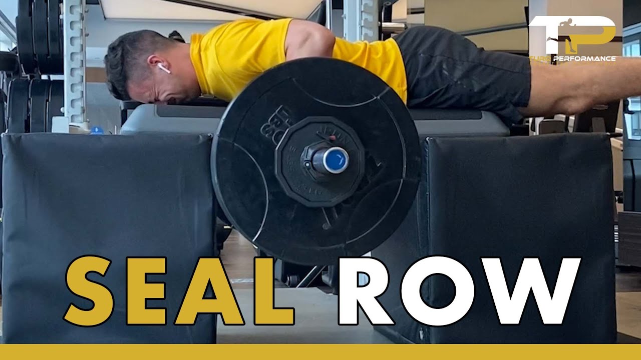 Seal Row 🦭🚣 - YouTube