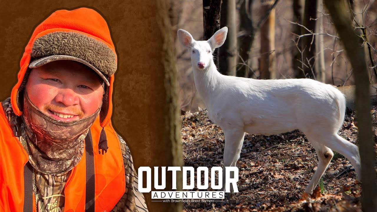 Inside Wisconsin’s rare white deer population with DNR’s Jeff Pritzl ...