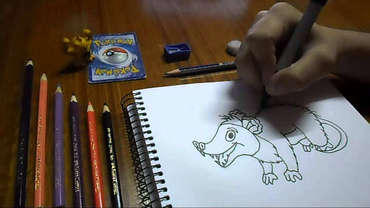 Dibujando un Tlacuache / Para BlogDelPsicologo - YouTube