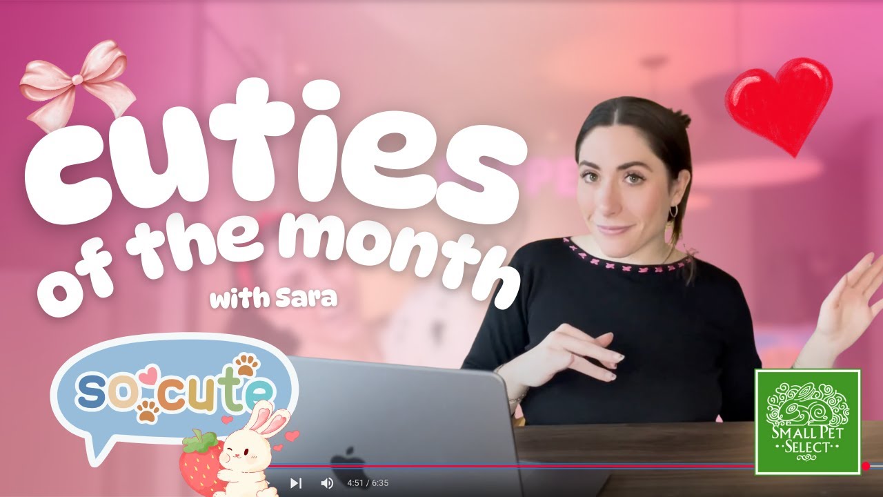 Cuties of the Month (The Cutest Buns on the Internet) - YouTube
