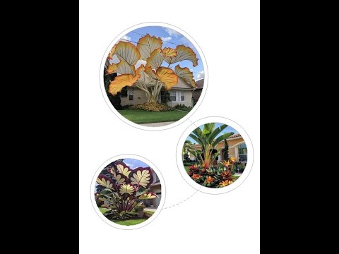 HOW TO MAKE CIRCULAR FRAMES FOR IMAGES IN ARCHICAD - YouTube
