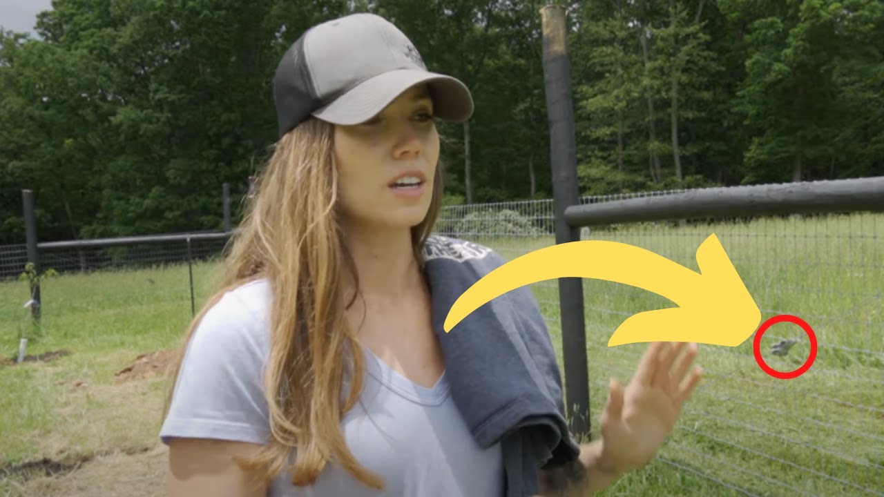 9 Great Moments from Wild Wonderful Off Grid - YouTube