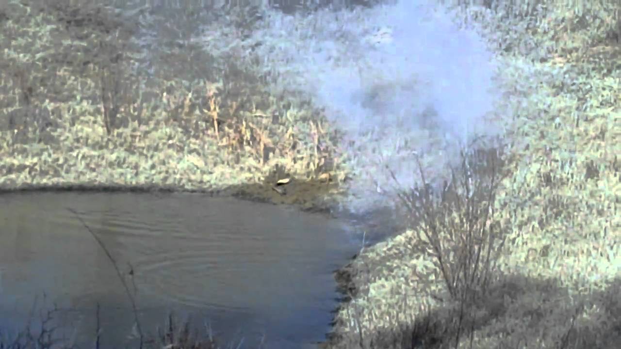 reactive target and metal bucket - YouTube