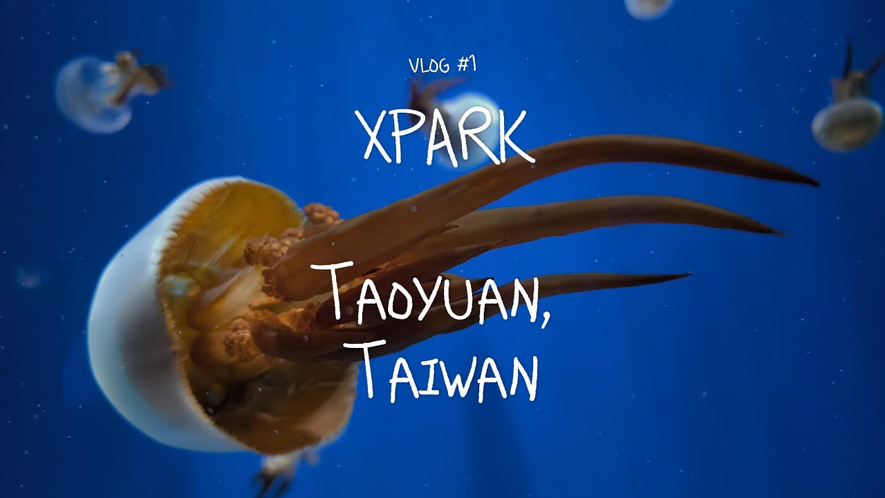 Vlog.01Taoyuan歡慶唐老鴨90周年Xpark暑期特展Let’s Xparty！九十要派對！剛好搭上 7/1（一）-9/30（一）進場內滿滿都是水母與魚兒在水中得身影，真是可愛極了 ...