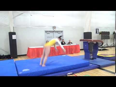 Chloe Bellmore, Twistars USA | L10 Vault 2019 Michigan State Championships